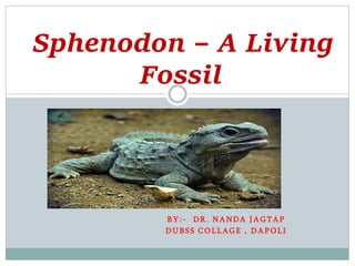 spenadon - A living fossil | PPTX