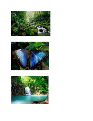 Spencer Golden Costa Rica | DOCX