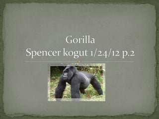 Spencer power point | PPT