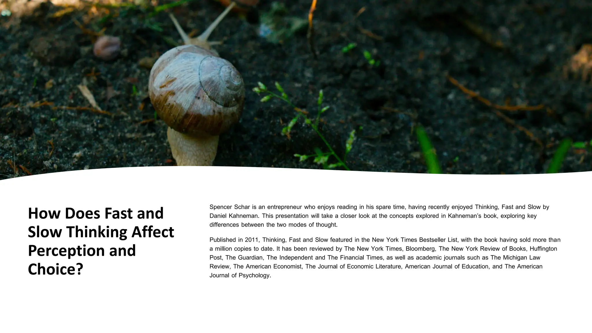 Spencer Schar - How Does Fast and Slow Thinking Affect Perception and ...