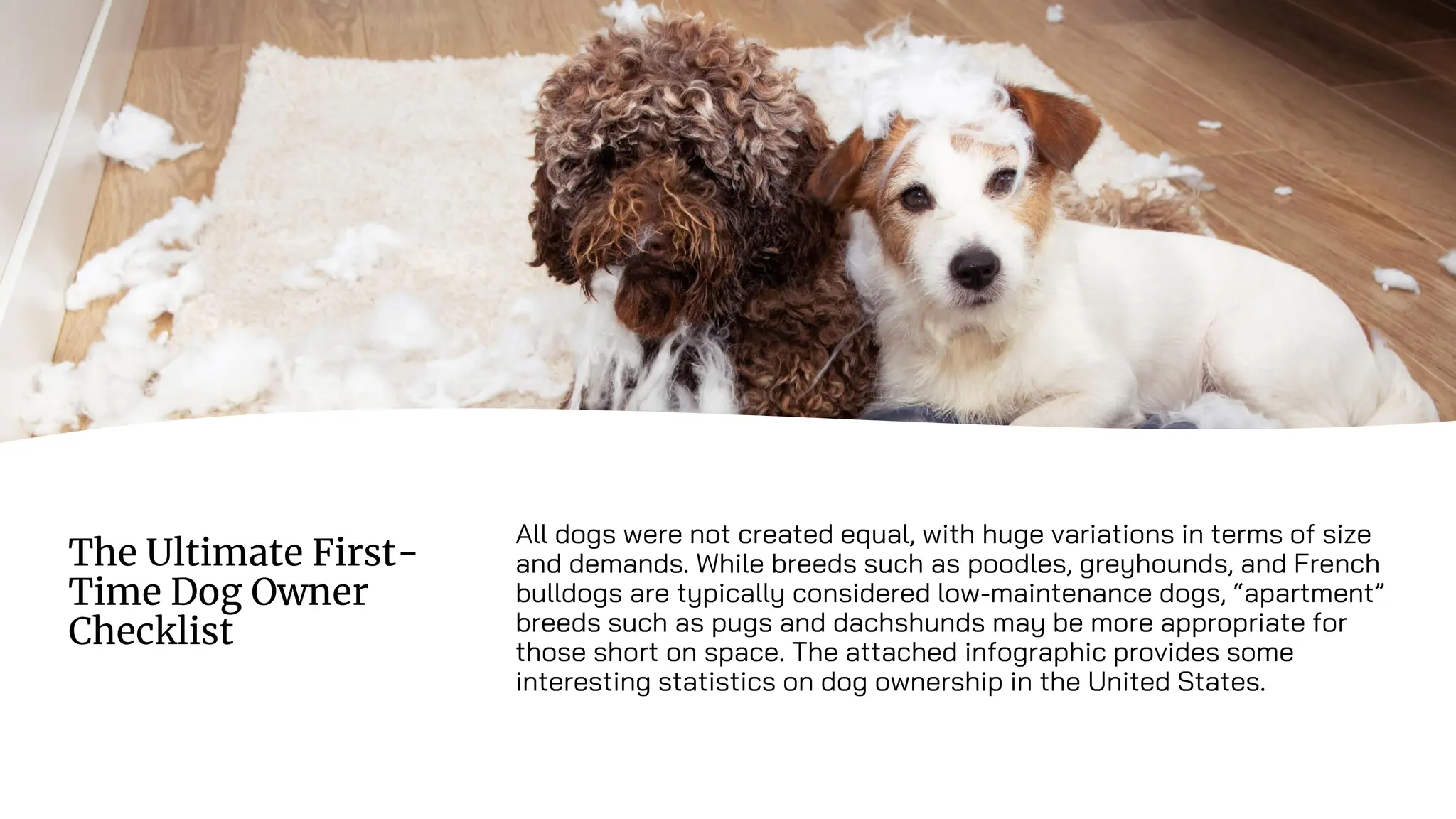 The Ultimate First-Time Dog Owner Checklist | PPT | Free Download