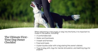 The Ultimate First-Time Dog Owner Checklist | PDF