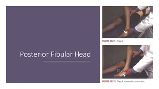 Spencer’s Technique1-2-9-8/6-297895.pptx