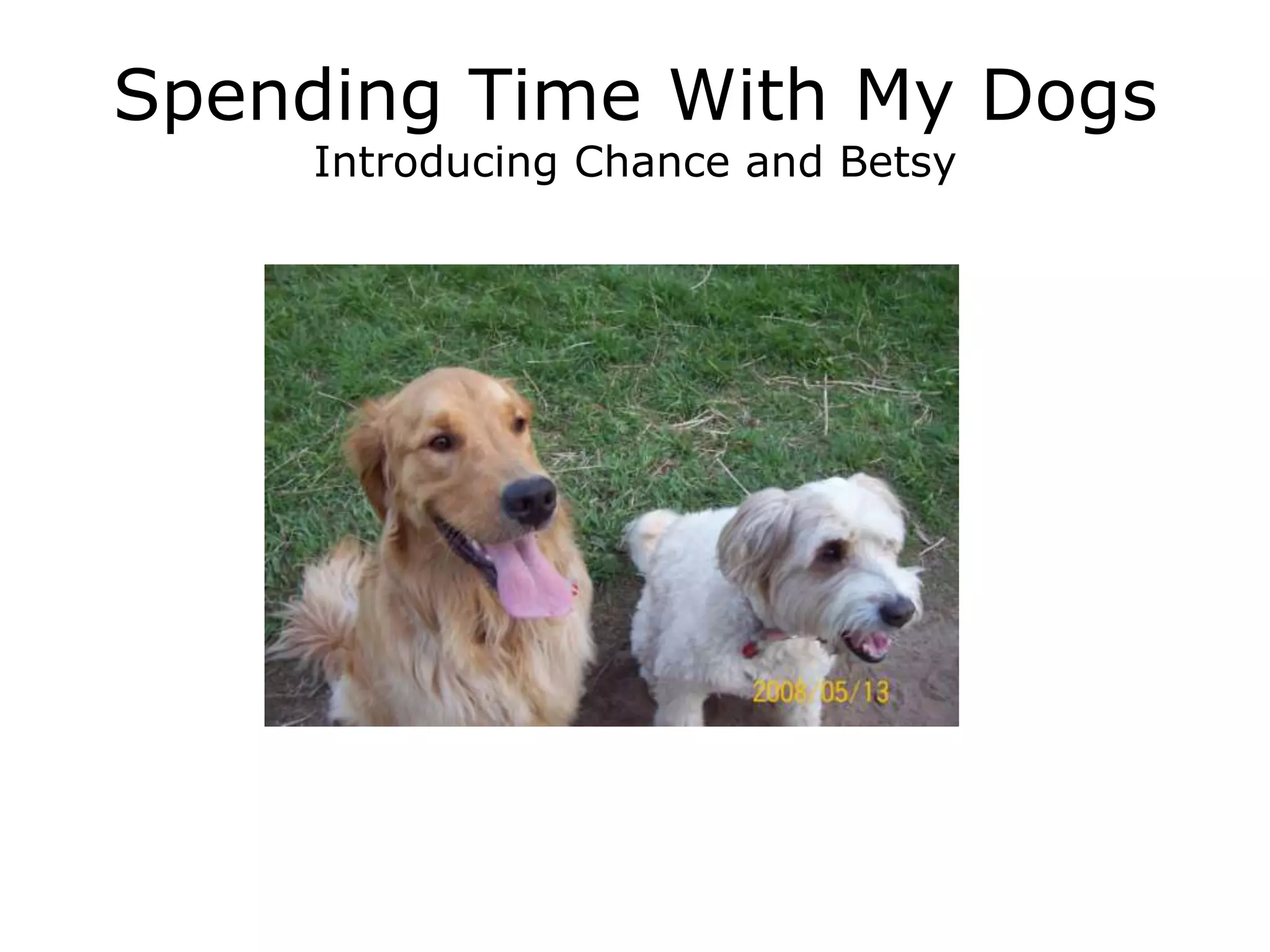 Spending time with my dogs | PPTX