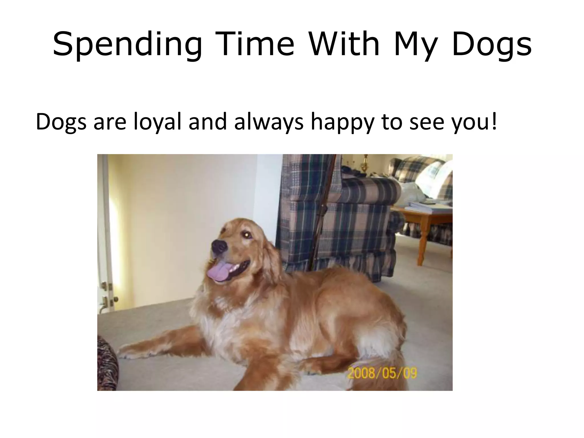 Spending time with my dogs | PPTX