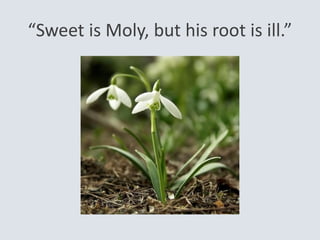 Spenser images | PDF