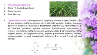 Perfumes and flavouring agents | PPTX | Perfume and Fragrance | Beauty