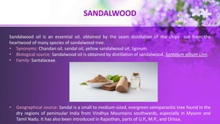 Perfumes and flavouring agents | PPTX