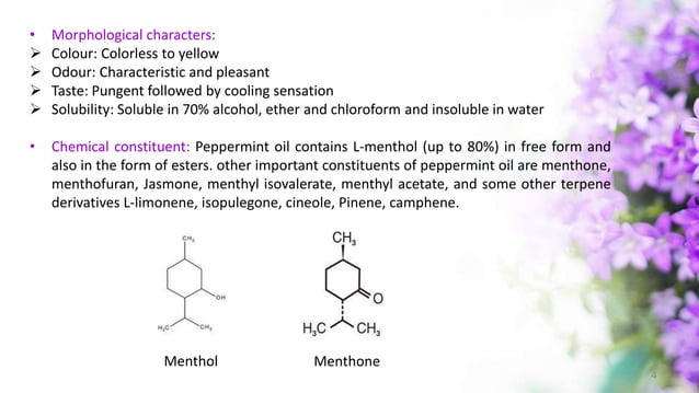Perfumes and flavouring agents | PPTX | Perfume and Fragrance | Beauty
