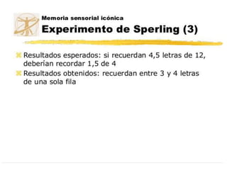 Sperling | PPTX