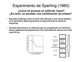 Sperling | PPTX