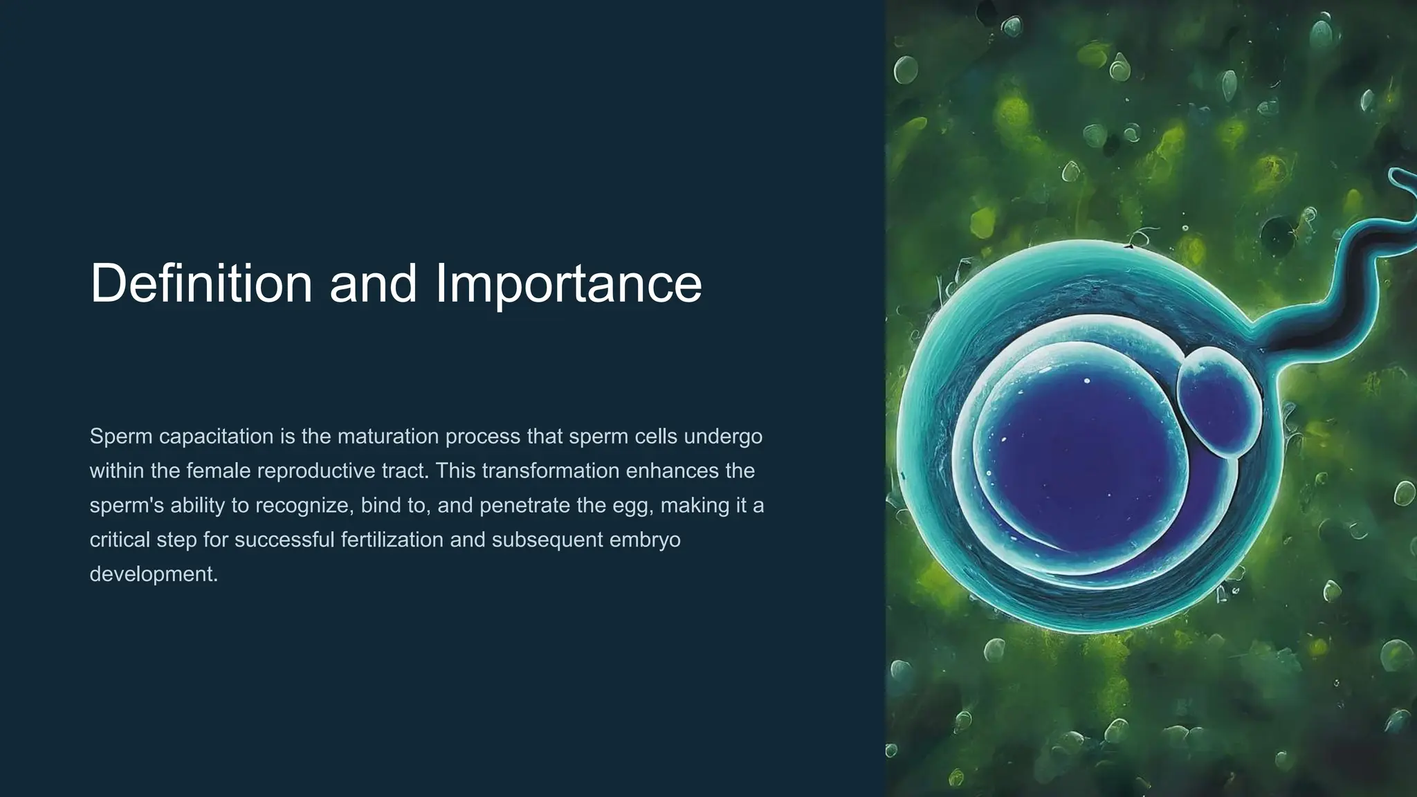 Sperm-Capacitation-An-Overview in msc.pptx
