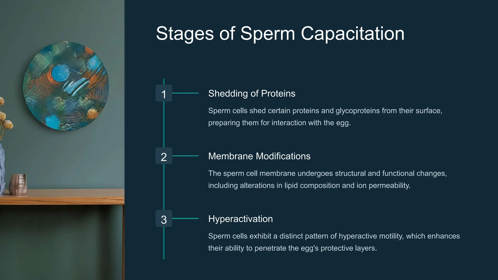 Sperm-Capacitation-An-Overview in msc.pptx