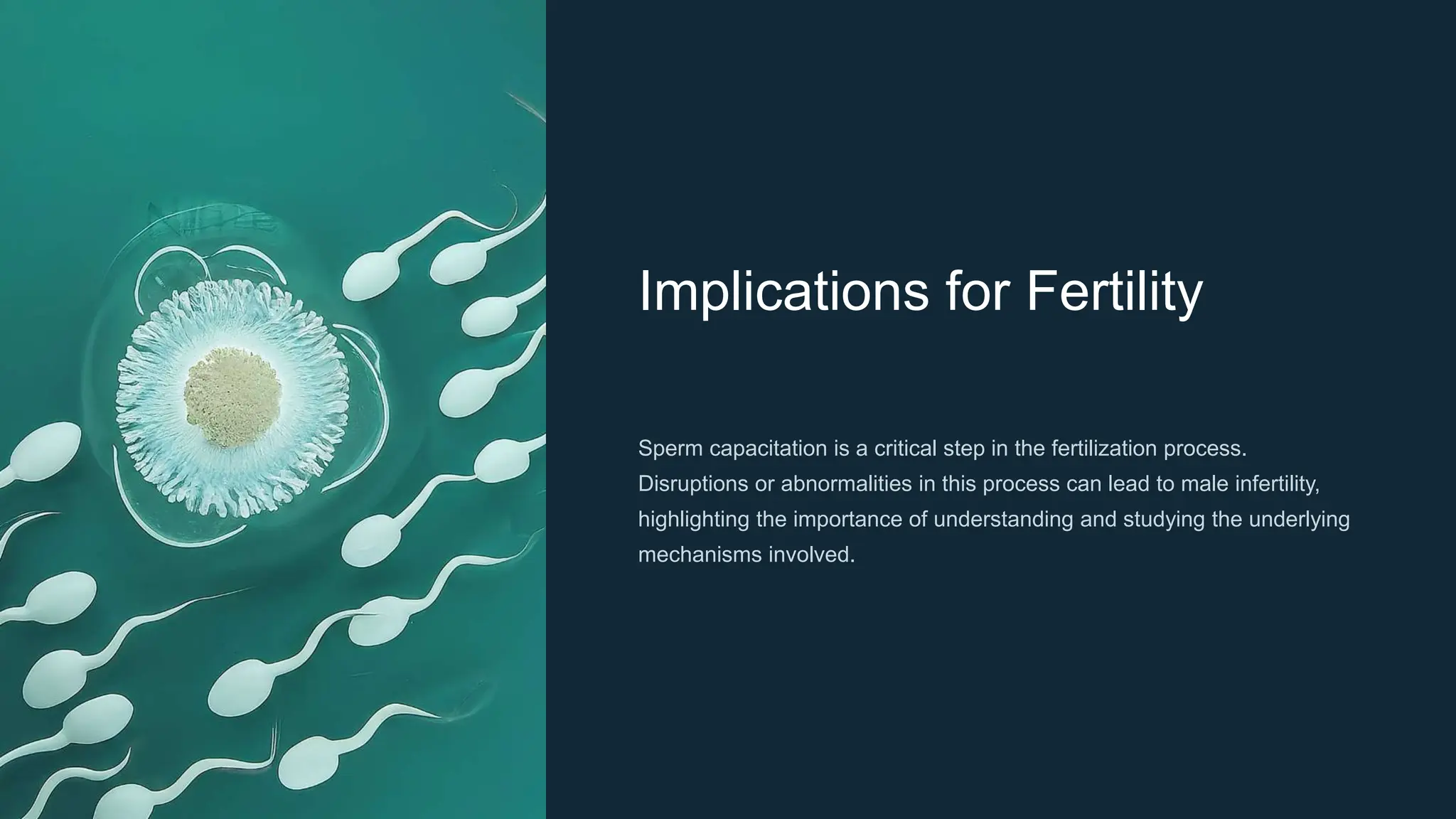 Sperm-Capacitation-An-Overview in msc.pptx