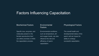 Sperm-Capacitation-An-Overview in msc.pptx