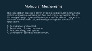 Sperm-Capacitation-An-Overview-reseach.pptx