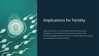 Sperm-Capacitation-An-Overview-reseach.pptx