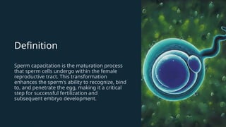 Sperm-Capacitation-An-Overview-reseach.pptx