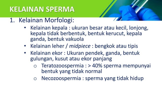SPERMA.pptx