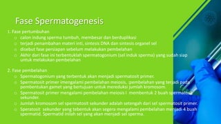 SPERMA.pptx