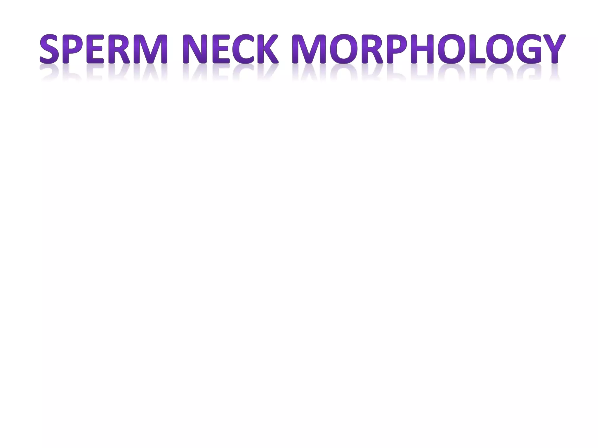 sperm abnormalities.pptx