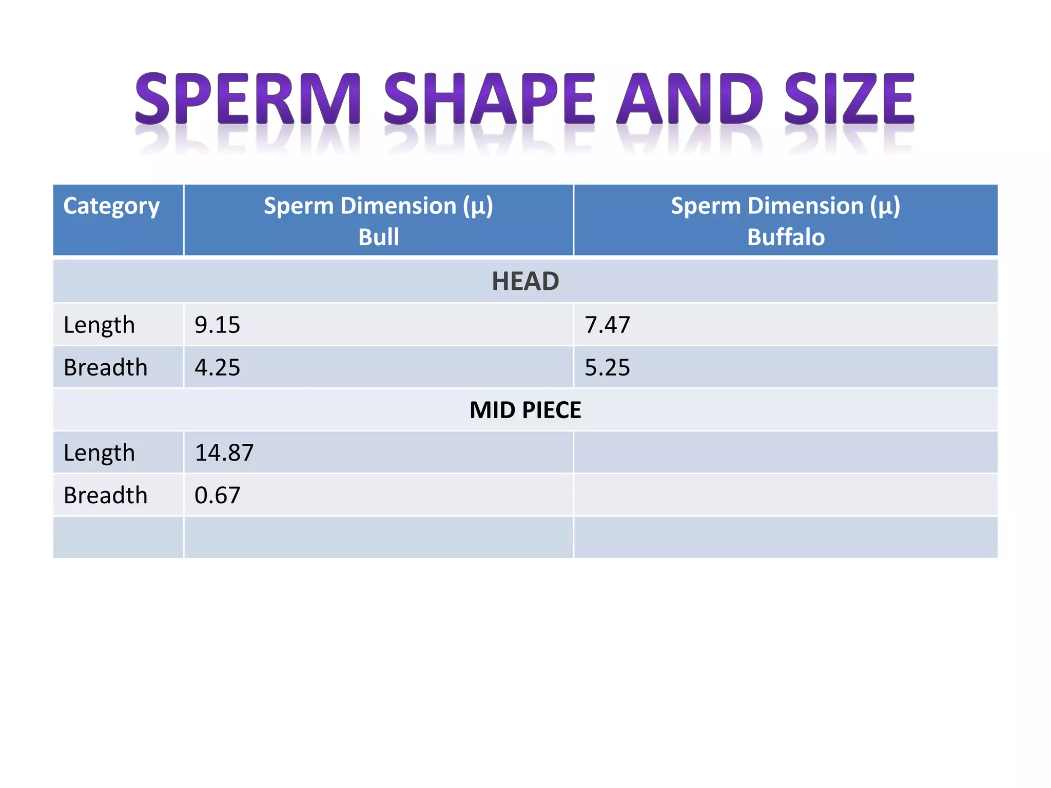 Sperm Abnormalities Pptx
