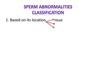 sperm abnormalities.pptx