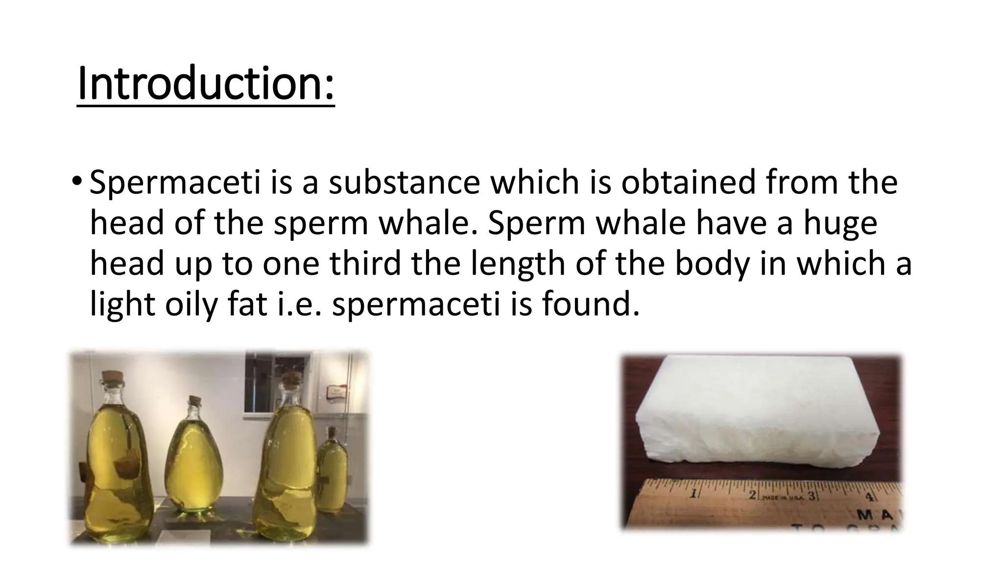 Spermaceti (Physeter macrocephalus) Pharmacognosy | PPTX