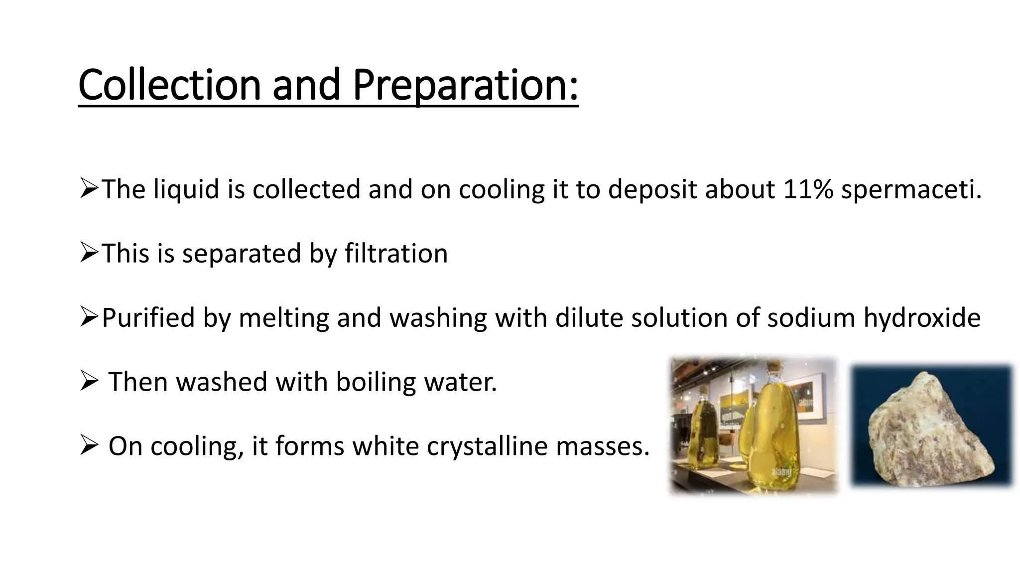 Spermaceti (Physeter macrocephalus) Pharmacognosy | PPTX