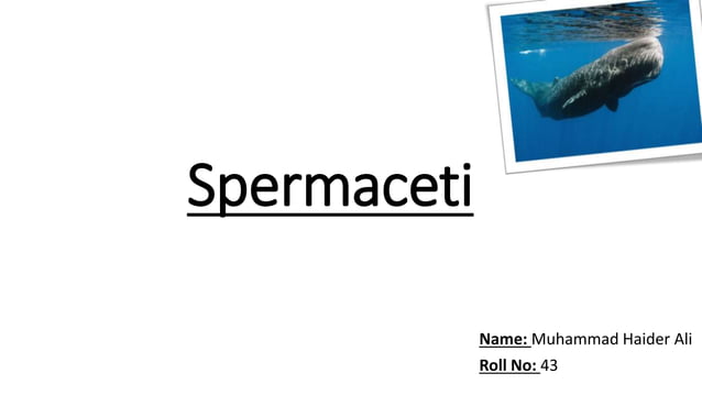 Spermaceti (Physeter macrocephalus) Pharmacognosy | PPT