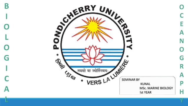 Spermaceti organ :In Sperm whale | PPTX | Chemistry | Science