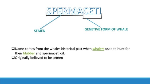 Spermaceti organ :In Sperm whale | PPTX | Chemistry | Science