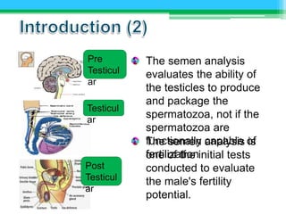 Sperm analysis WHO.pptx