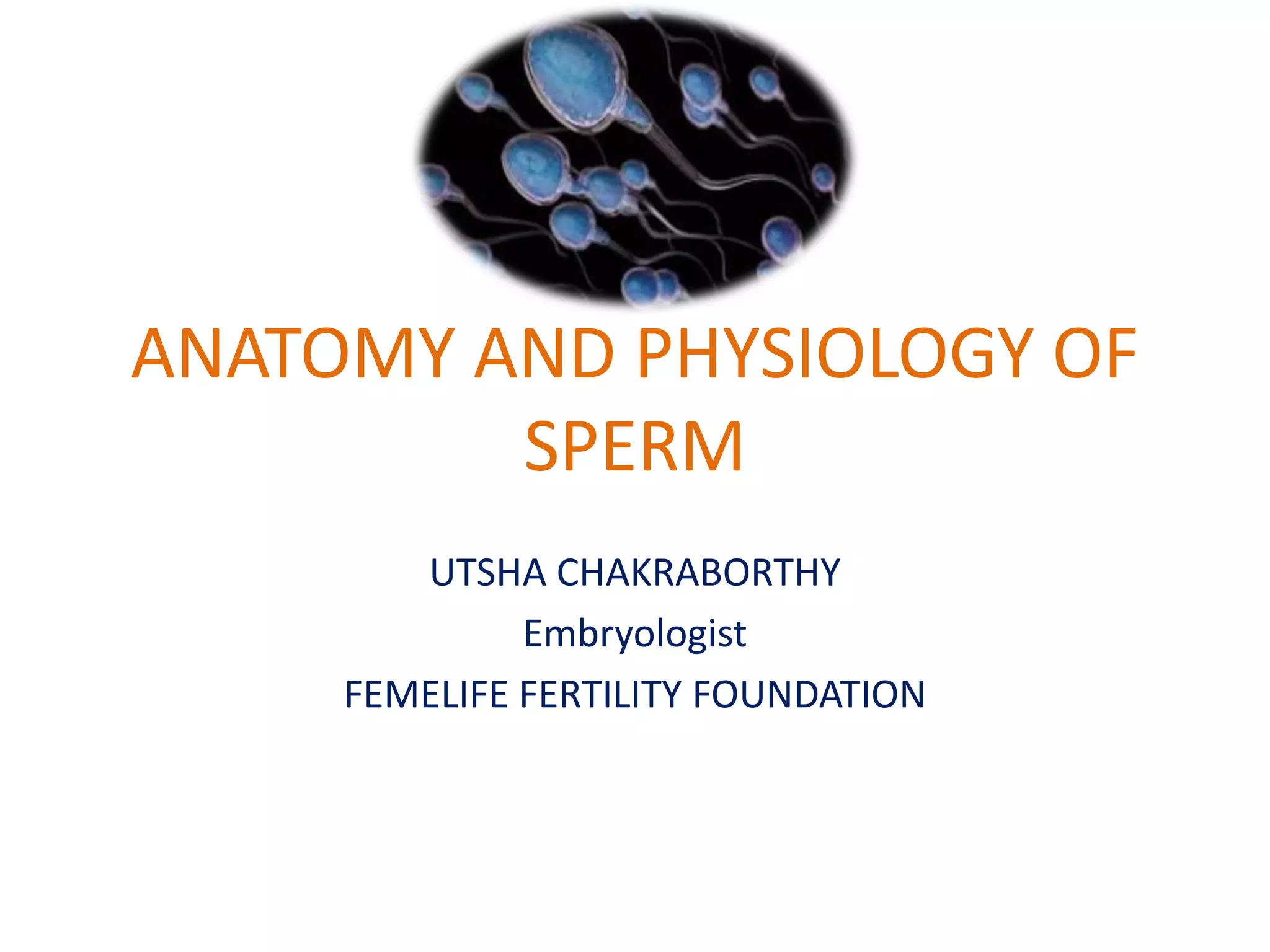 Sperm anatomy and physiology | PPTX