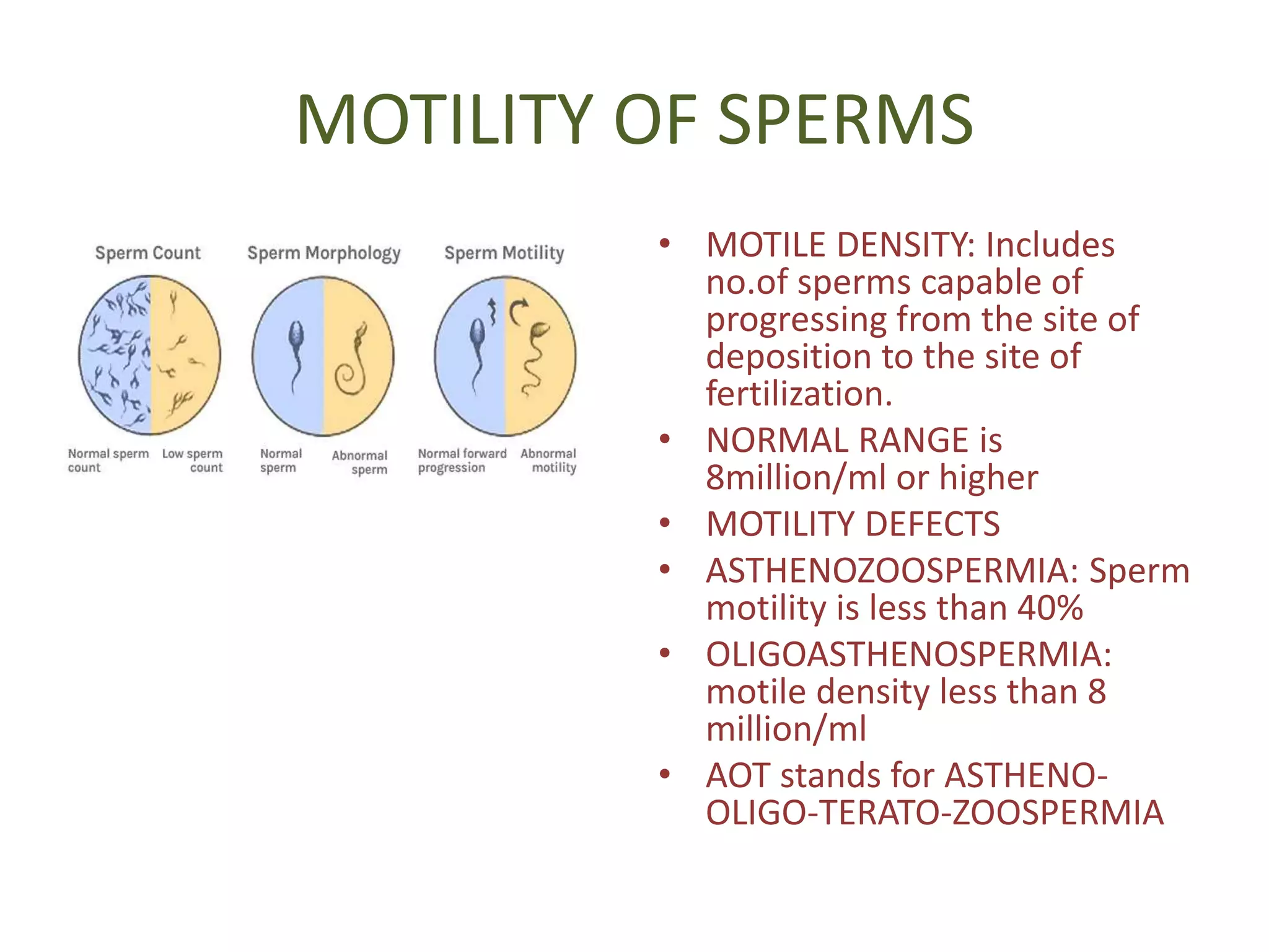Sperm anatomy and physiology | PPTX
