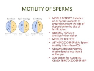 Sperm anatomy and physiology | PPTX
