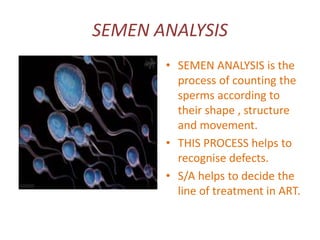 Sperm anatomy and physiology | PPTX