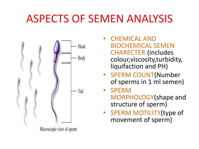 Sperm anatomy and physiology | PPTX