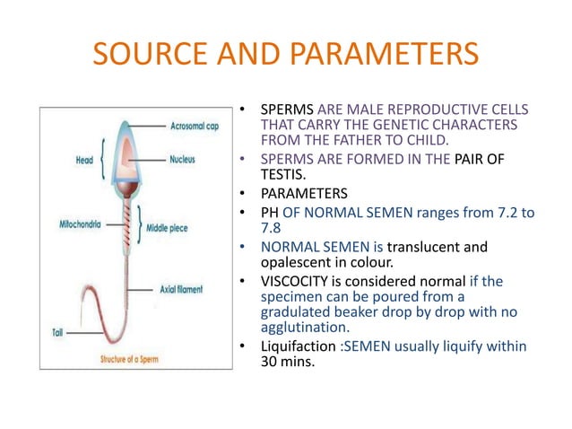 Sperm anatomy and physiology | PPTX