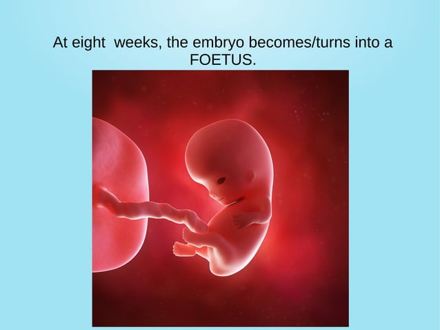 How babies are born | PDF | Infertility | Reproductive Health