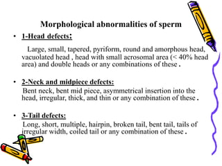 Sperm Assesmen&preparation&cryopreservation.ppt | Infertility ...