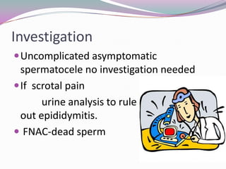 Spermatocoele | PPTX