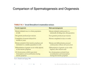 Oogenesis And Spermatogenesis In Fish