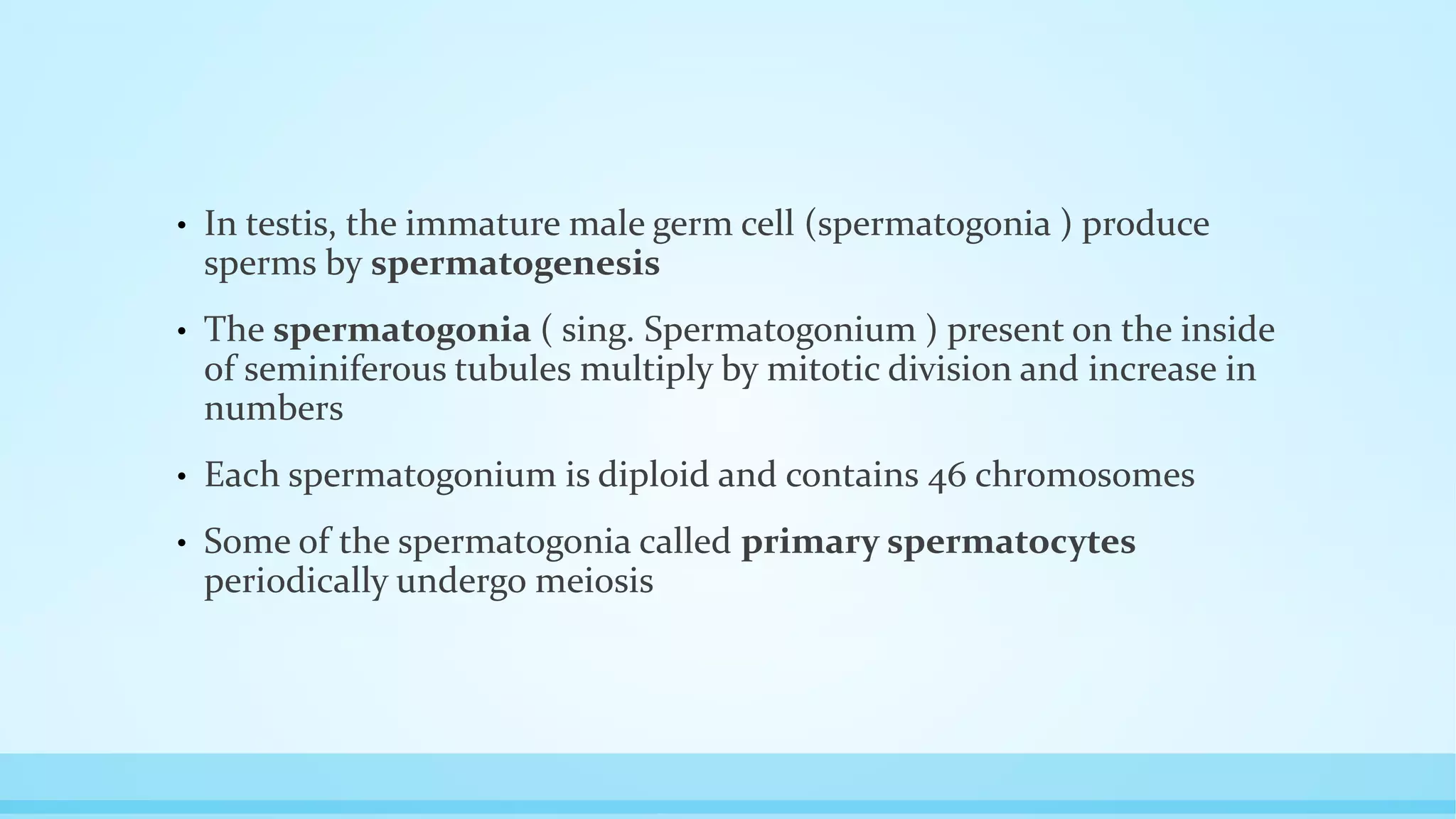 Spermatogenesis | PPTX