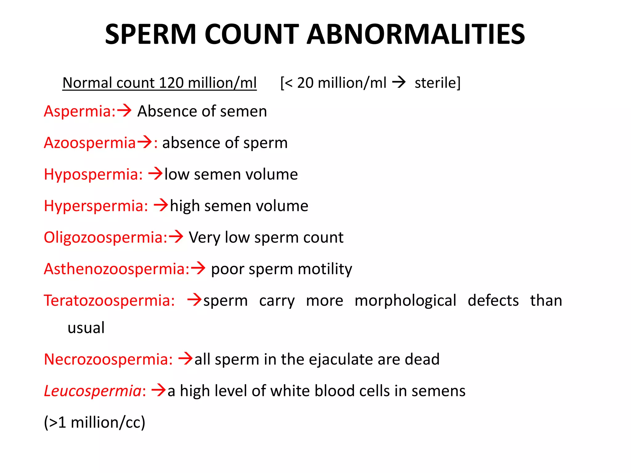 Spermatogenesis | PPTX