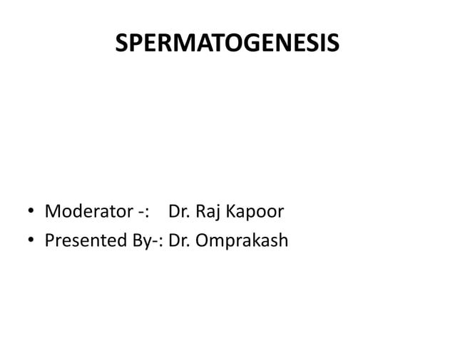 Spermatogenesis | PPT