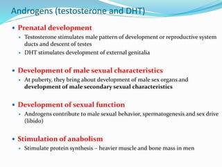 Spermatogenesis (Male Reproductive System-2) | PPTX