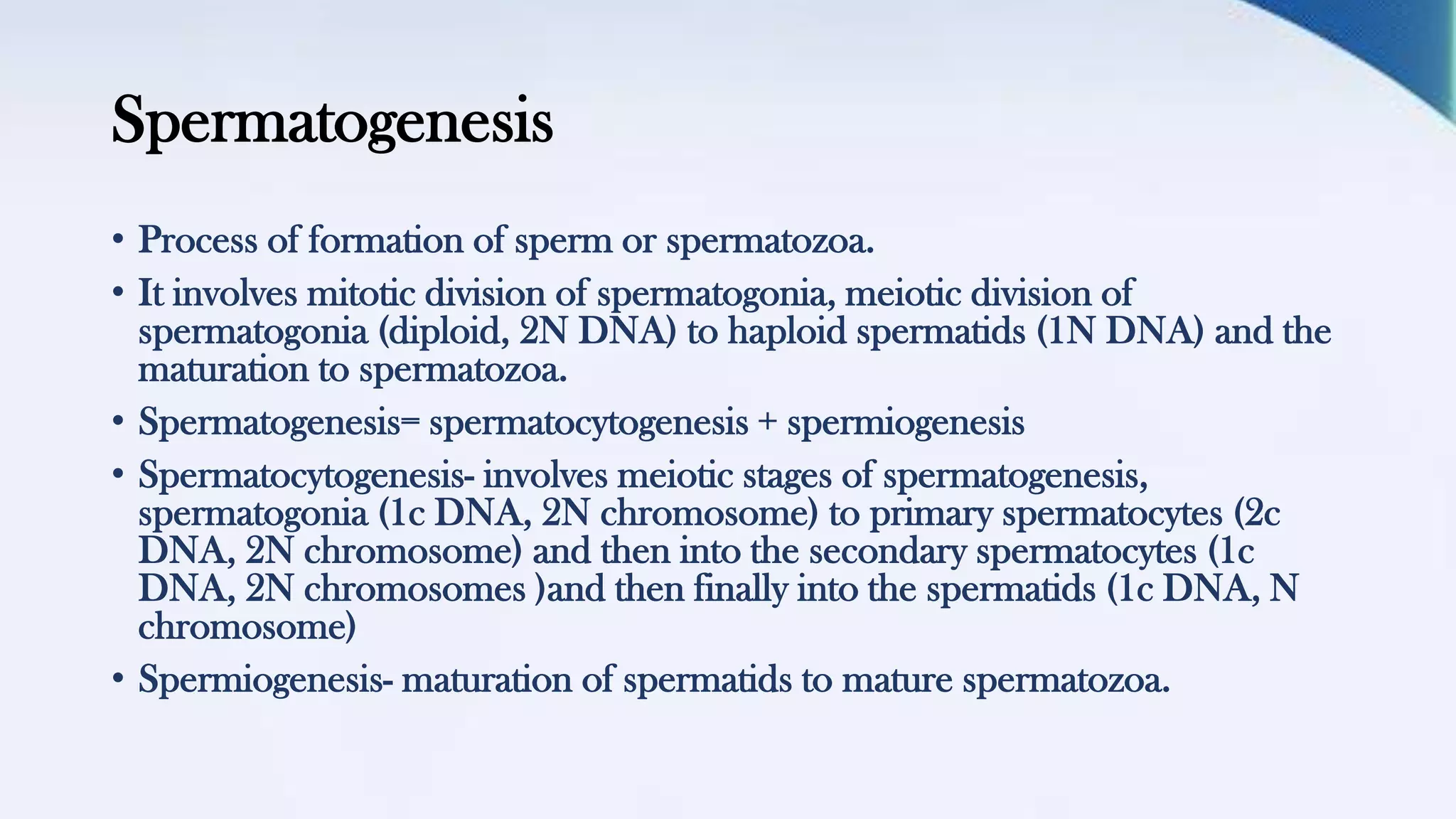 Spermatogenesis Physiology I Spermatogenesis Vs oogenesis I ...