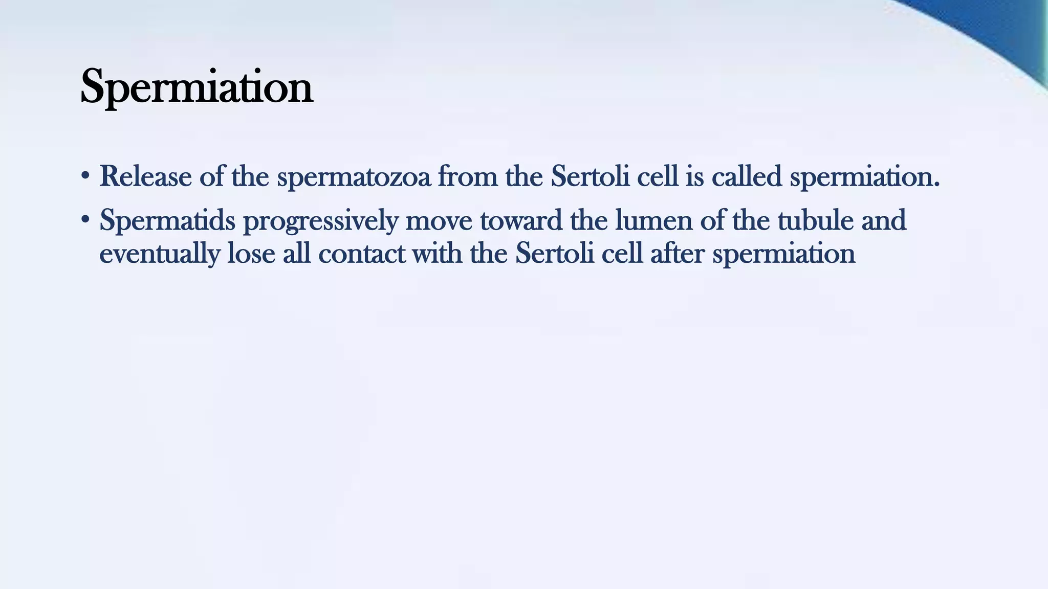 Spermatogenesis Physiology I Spermatogenesis Vs oogenesis I ...