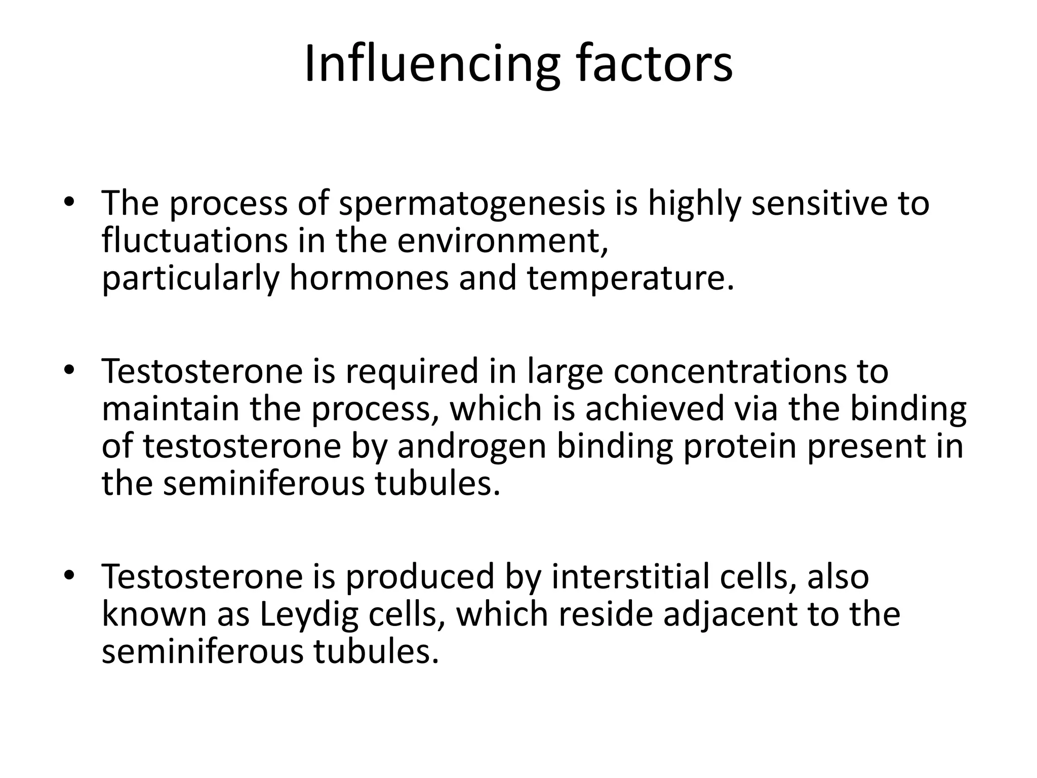 Spermatogenesis | PPTX